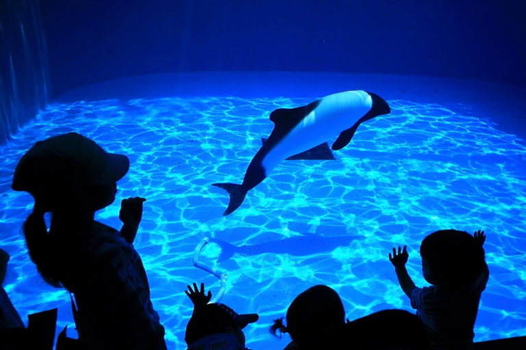 On the Street | Kanako Sato